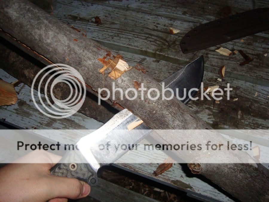 Busse Fat Fusion Battle Mistress - A little review. | BladeForums.com