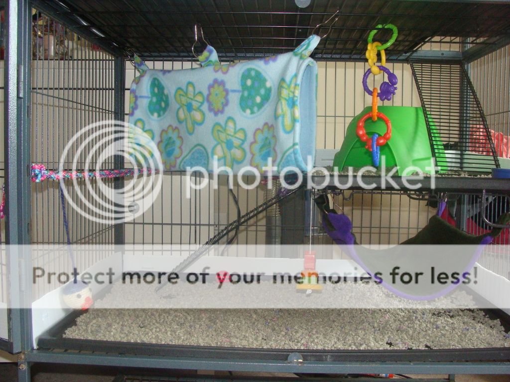 Ideal Setup for Rat Cage? (Changed setup - 5/31/13) | The Rat Shack ...