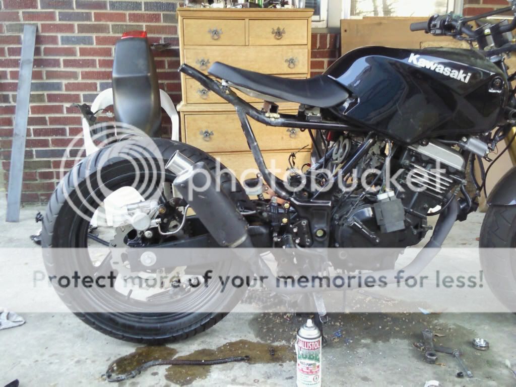 Another Ninja 250 build. | Custom Fighters - Custom Streetfighter ...